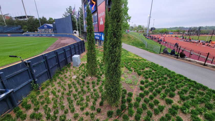 Disharoon Park – Stadium and Arena Visits